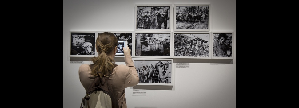 thalo Shared_articles / View / 21009