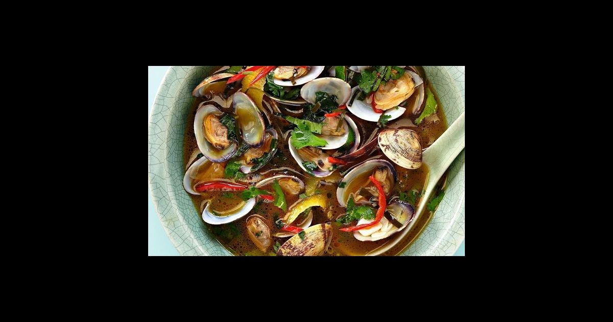 thalo Shared_articles / View / 20193